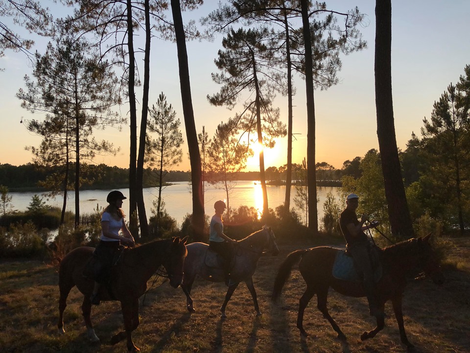 Balades à cheval aux portes de Bordeaux